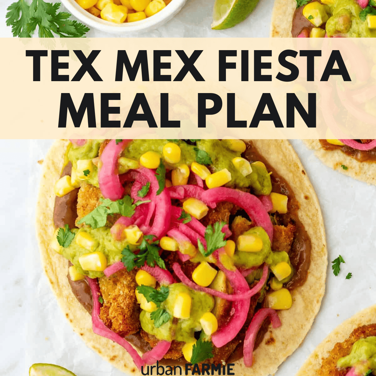 Tex Mex Fiesta Meal Plan