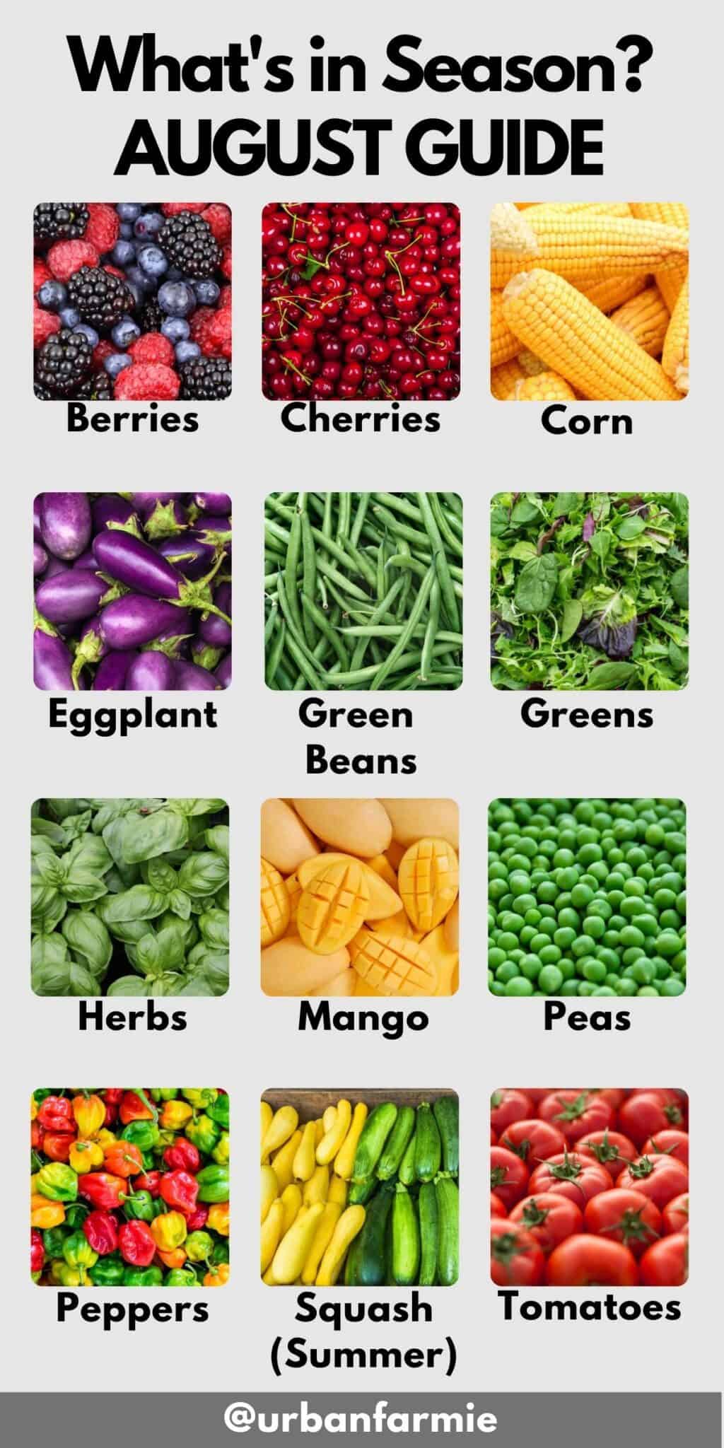 What's in Season? August Produce Guide