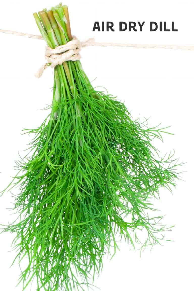 How to Dry Dill! (Four Easy Methods)