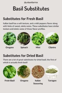 Basil Substitutes (Fresh and Dried!) - Urban Farmie