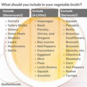Slow Cooker Vegetable Broth (+ Ideal Veggies Infographic)