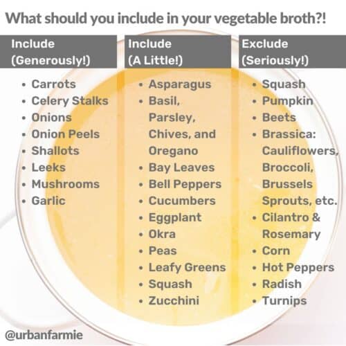 Slow Cooker Vegetable Broth (+ Ideal Veggies Infographic)