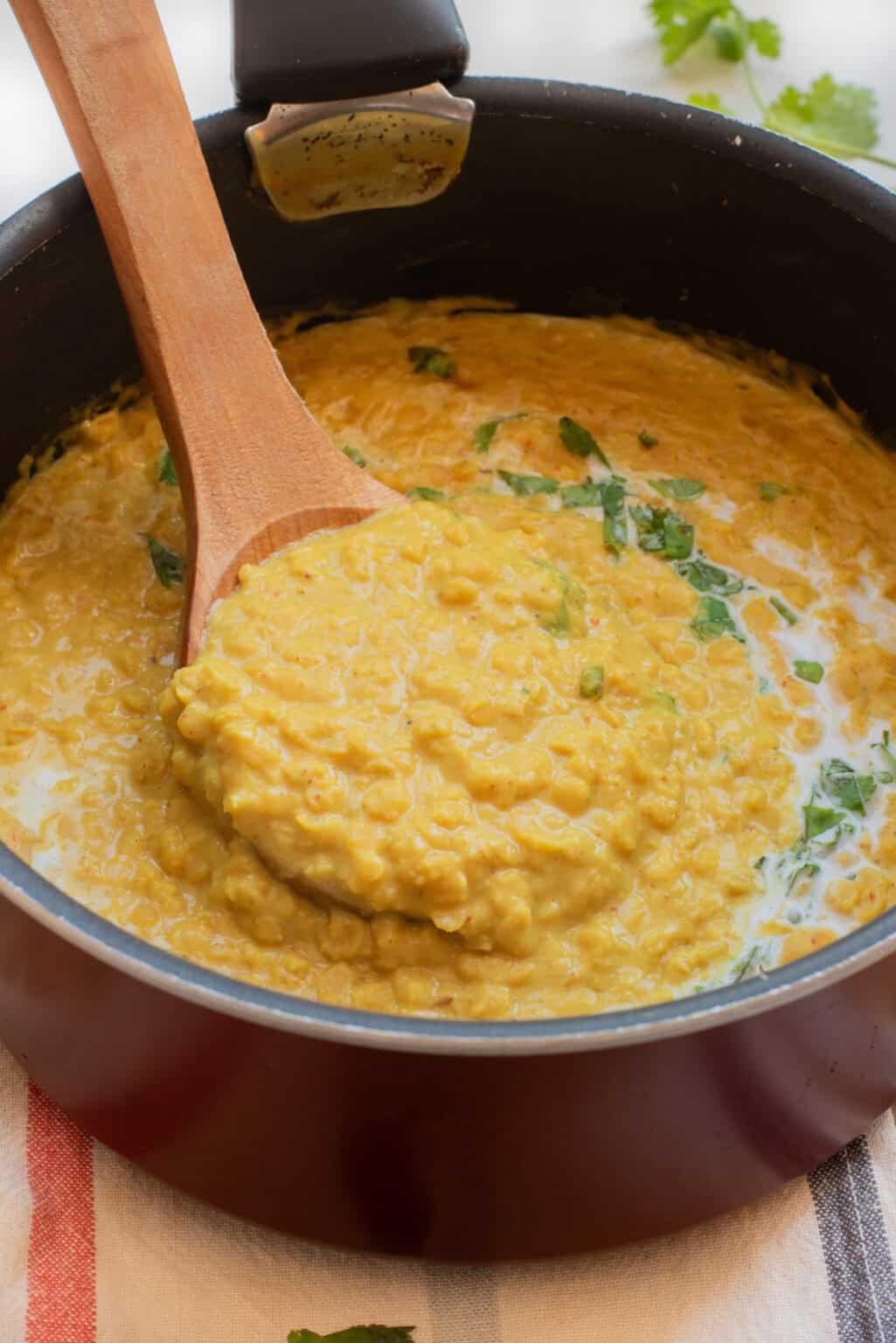 Coconut Red Lentil Curry