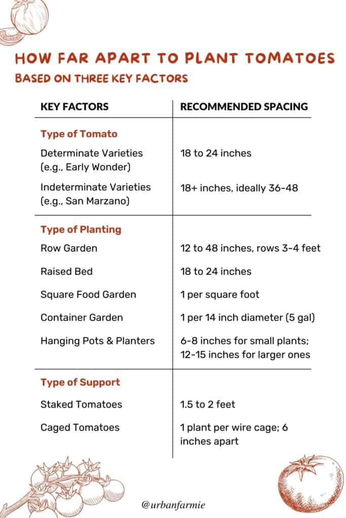 How Far Apart to Plant Tomatoes