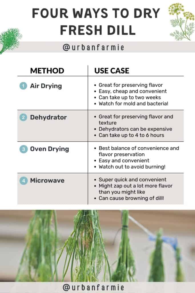 How to Dry Dill! (Four Easy Methods)