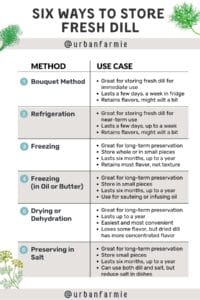 How to Store Fresh Dill (and Dill Seeds!)