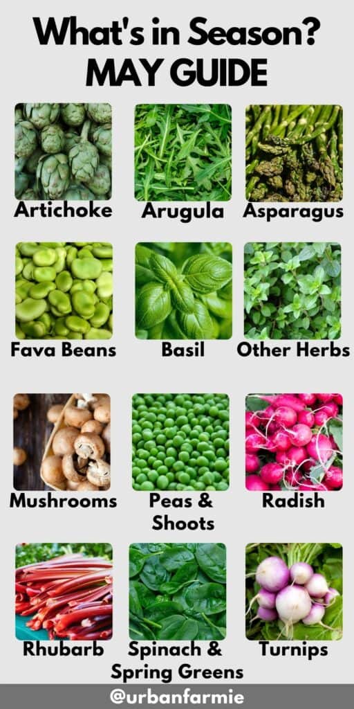 What's in Season? May Produce Guide