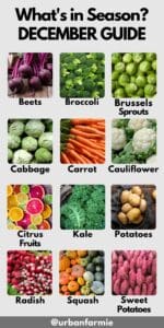 What's in Season? December Produce Guide