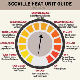 What's in Season? August Produce Guide