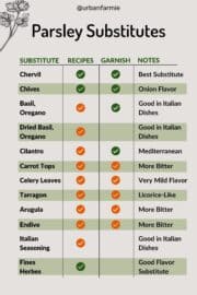 The 16 Best Substitutes for Parsley!