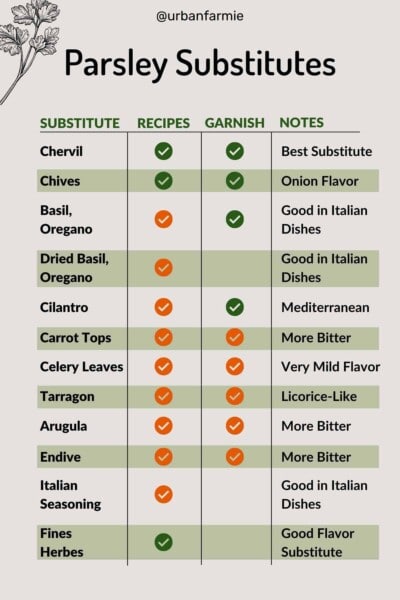 The 16 Best Substitutes for Parsley!