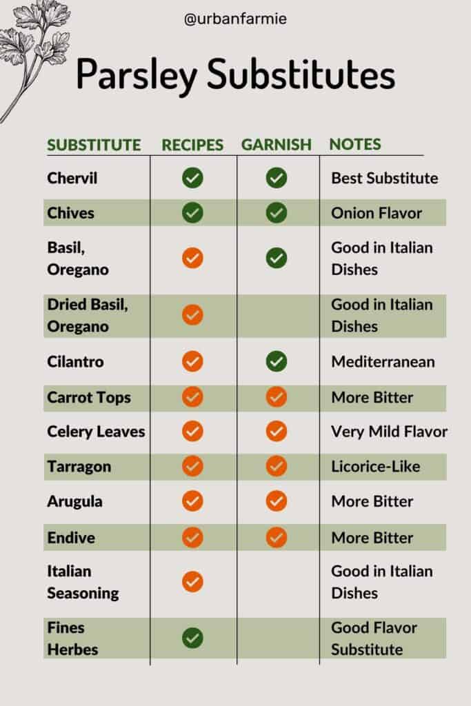The 16 Best Substitutes for Parsley!