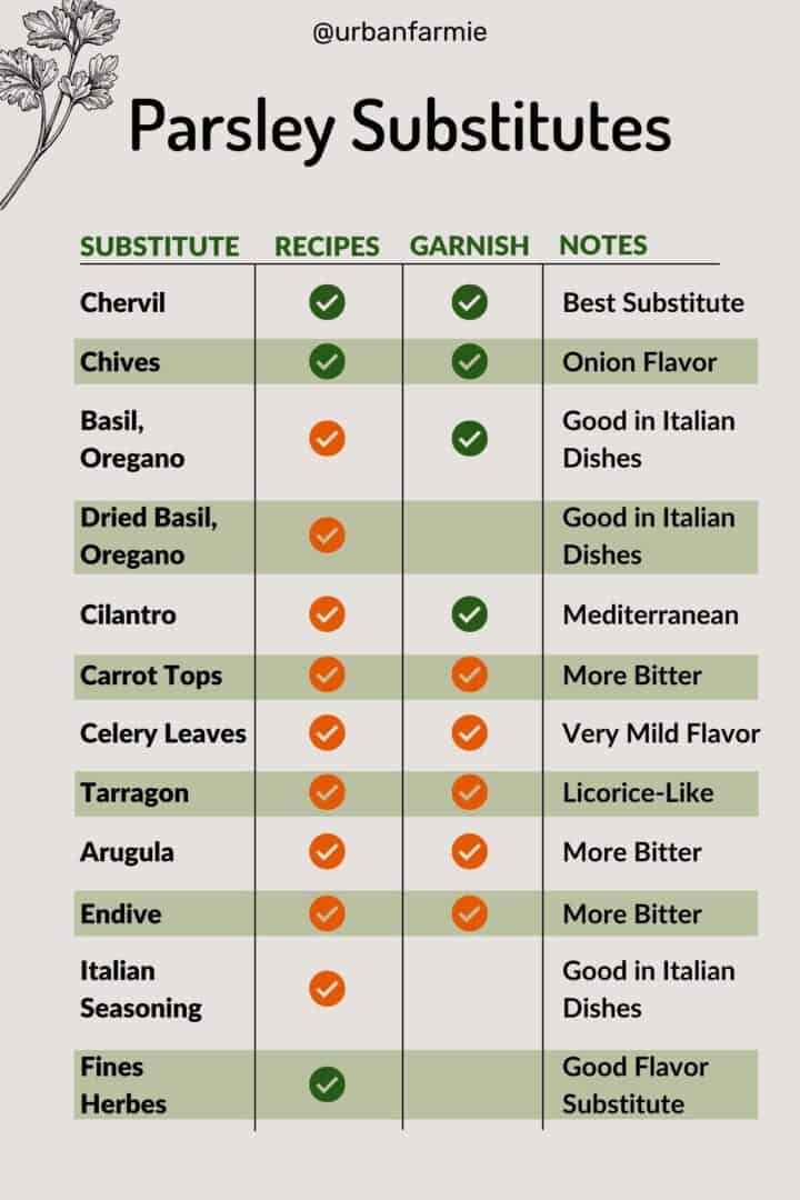 The 16 Best Substitutes for Parsley!