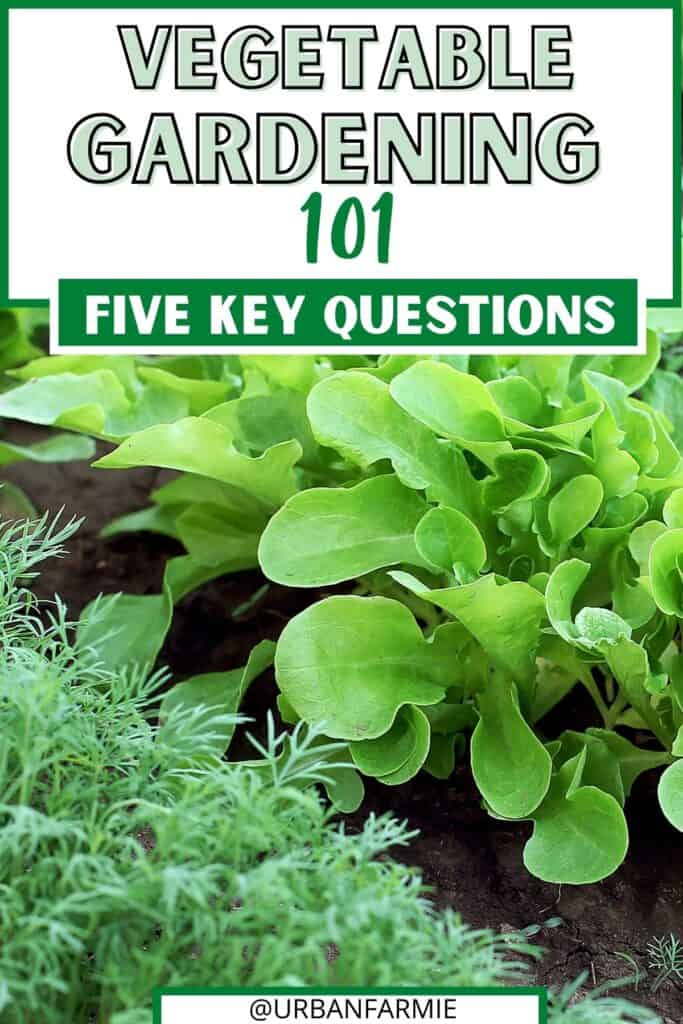 Vegetable Gardening 101 (Everything you need to know!) - Urban Farmie